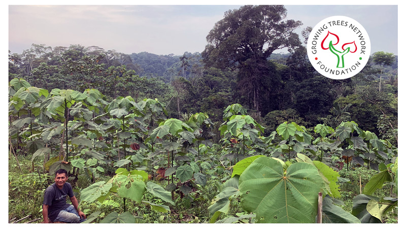 Power the Planet | Elsteel